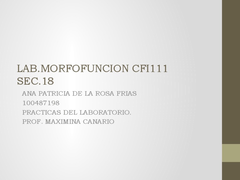 Lab Morfo | PDF