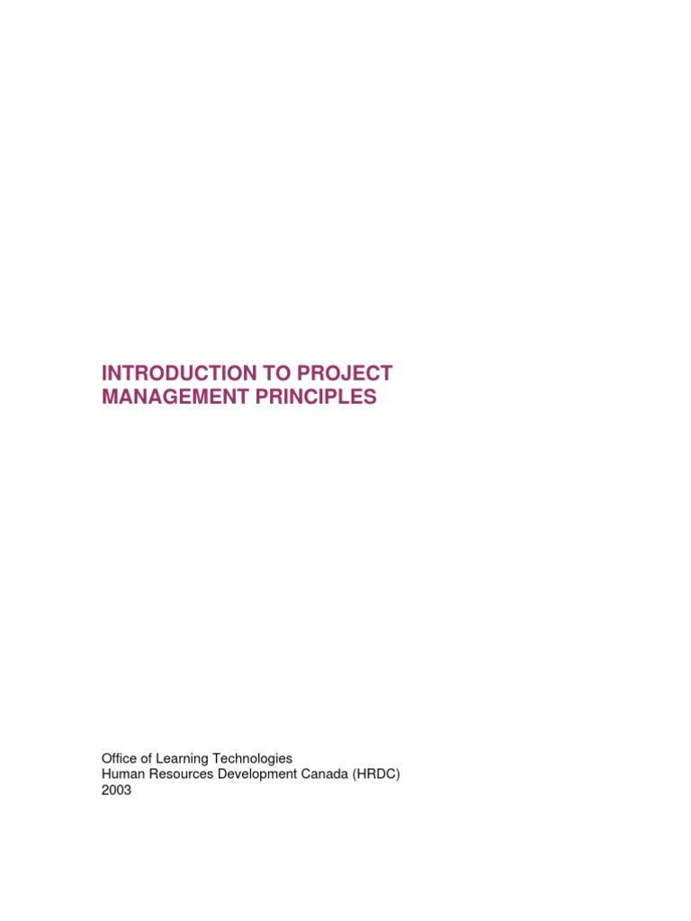 Project Management Basics Guide | PDF | Business