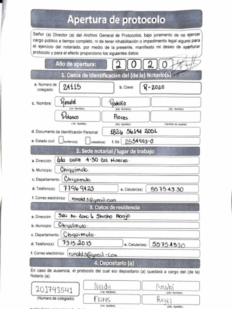 Protocolo Ronald Rodolfo Polanco Flores | PDF