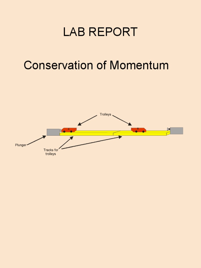 Lab 6 Conservation of Momentum | PDF | Momentum | Collision