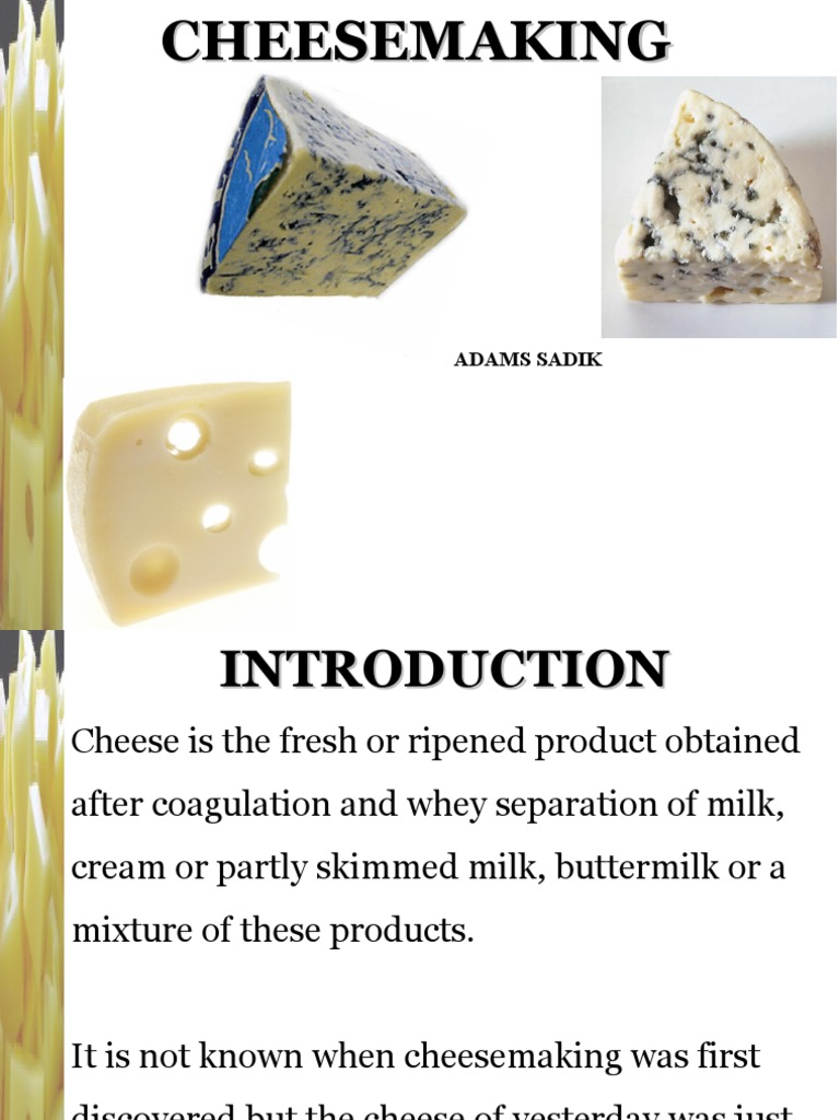 Cheese | PDF | Cheesemaking | Cheese