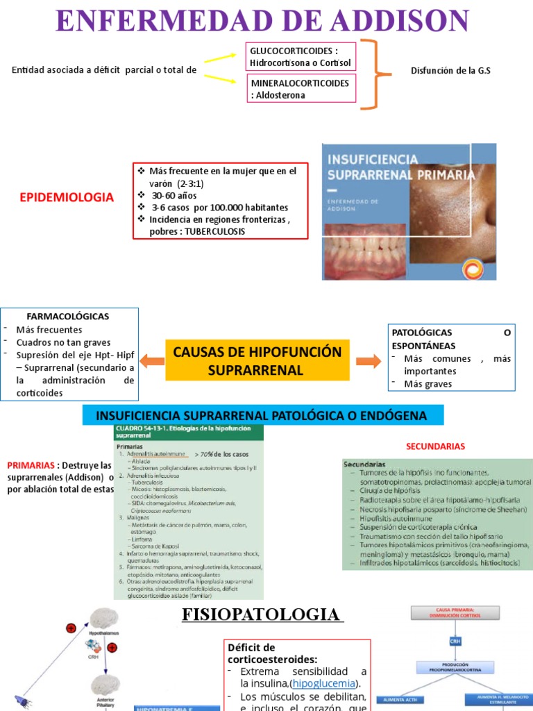 Enfermedad de Addison | PDF | Glándula suprarrenal | Corticosteroides