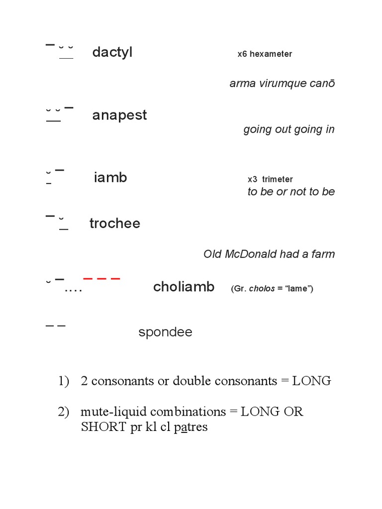 Latin Meter NOtes | PDF