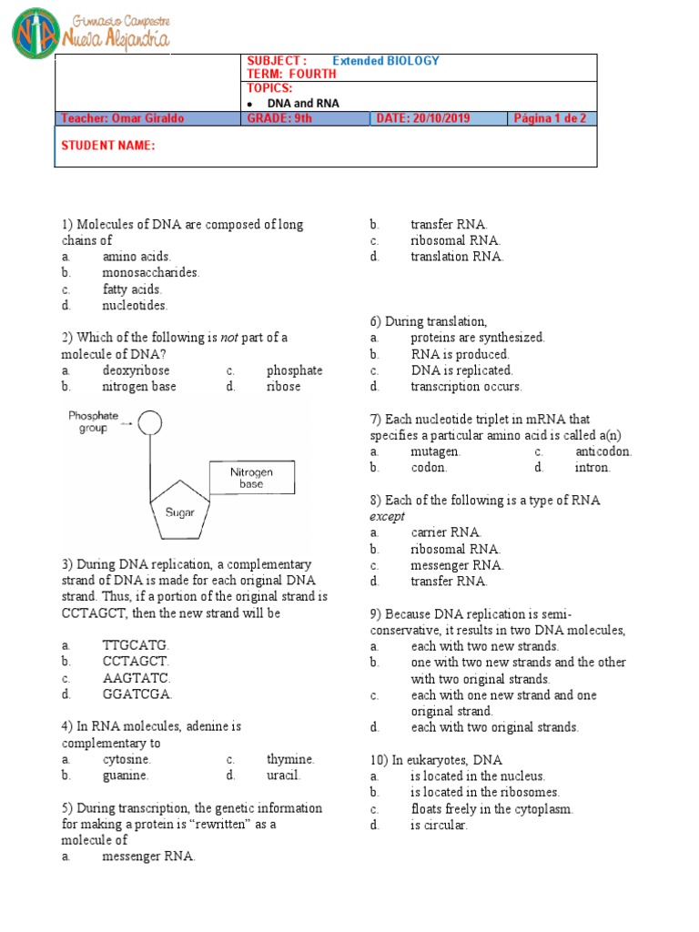 DNA and RNA Quiz | PDF | Rna | Translation (Biology)