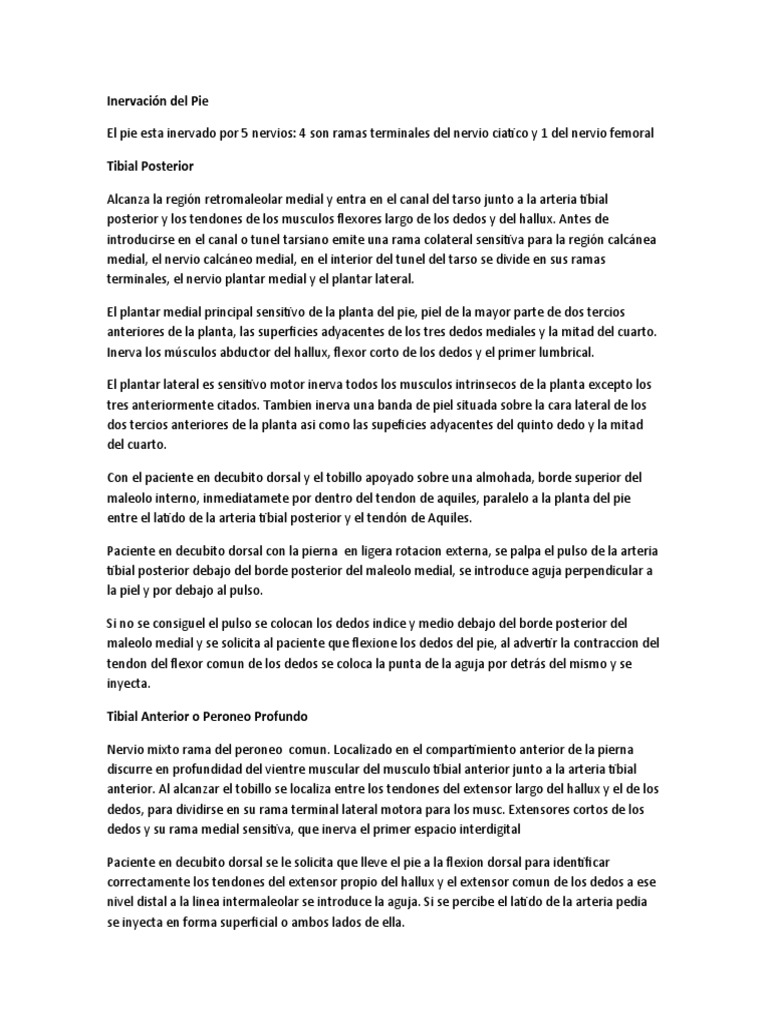 Inervación del Pie: Nervios y Funciones | PDF | Dedo del pie | Pie
