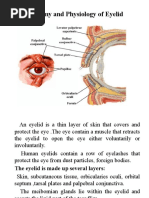 Computer Vision Syndrome Questionnaire | PDF | Visual Perception ...