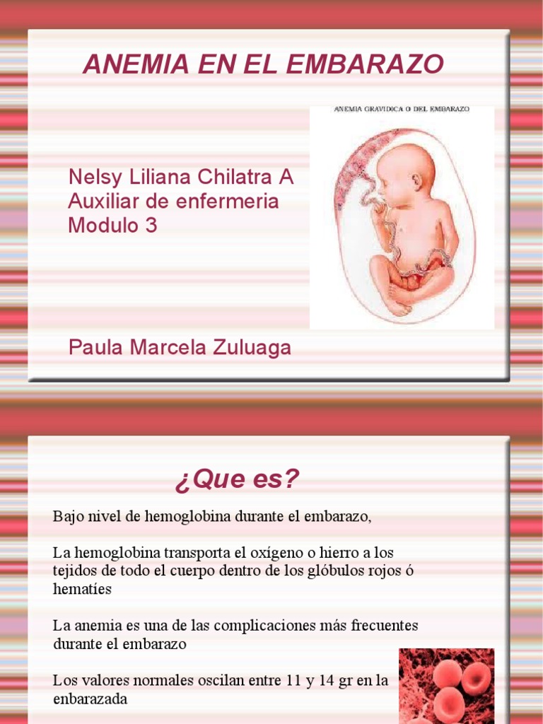 Anemia en el Embarazo: Causas y Prevención | PDF