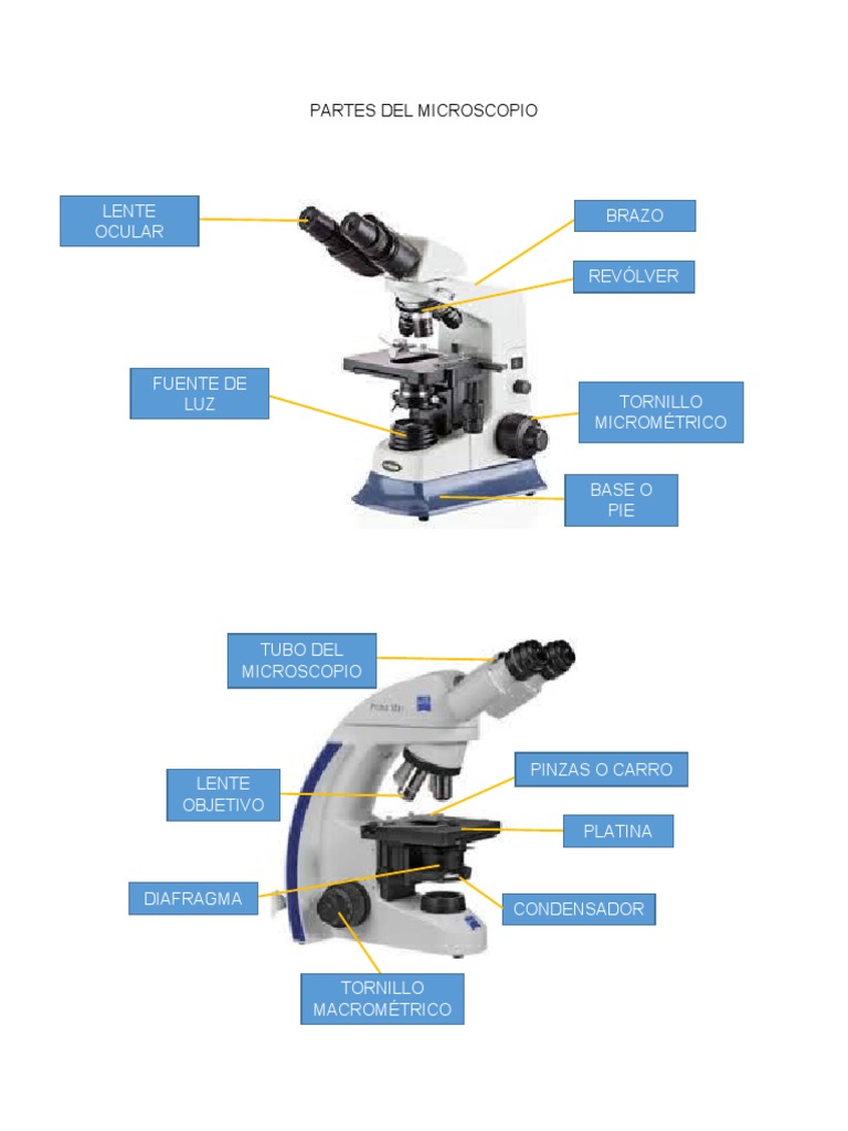 Partes Del Microscopio Practica 2 | PDF | Óptica | Equipo
