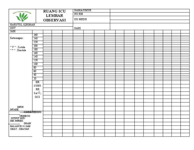 Form Icu | PDF