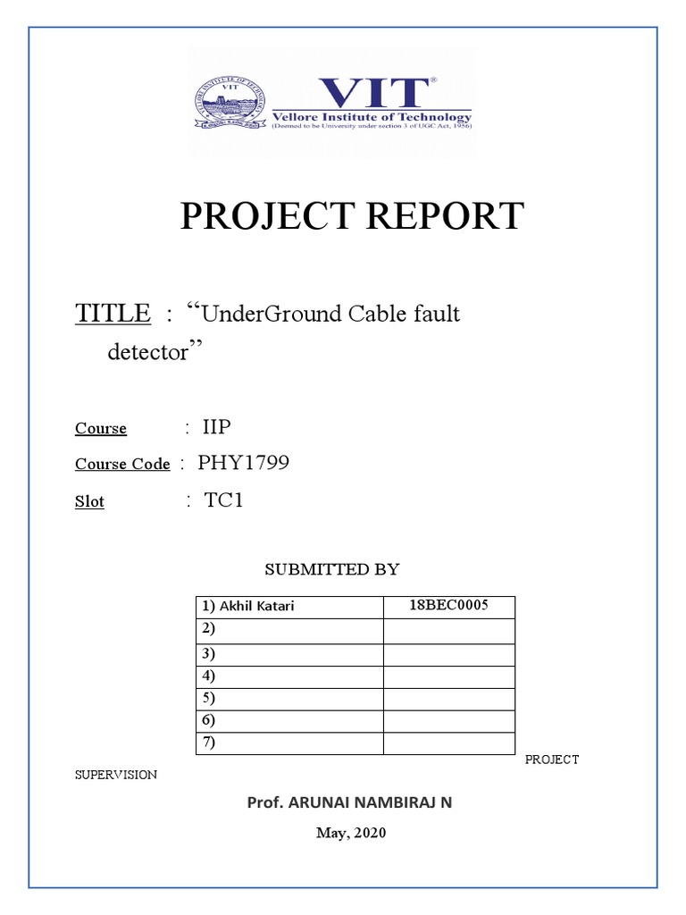 Iip Project Report | PDF