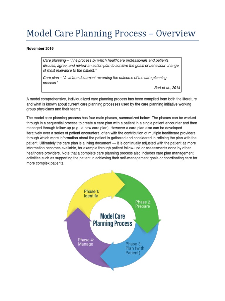 Model Care Planning Process Explanation Update November 2016 | PDF ...