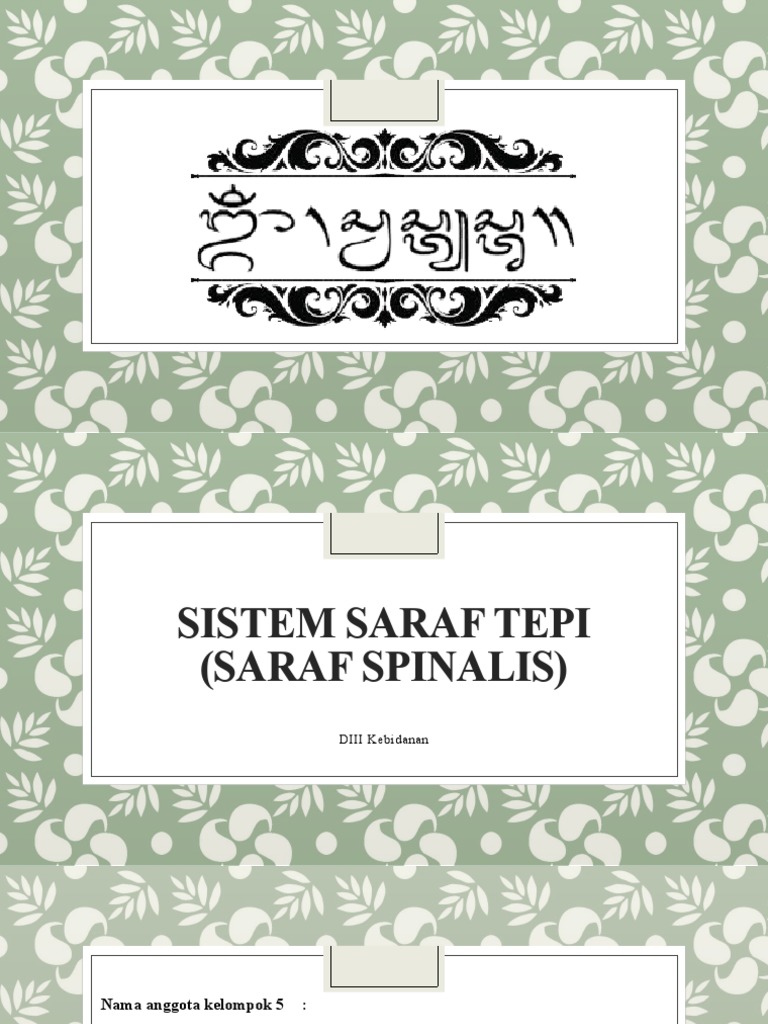Saraf Spinalis (Sistem Saraf Tepi) | PDF