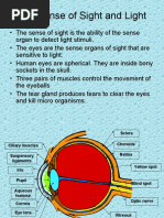 Cow Eye Dissection Lab Report | PDF | Eye | Human Eye