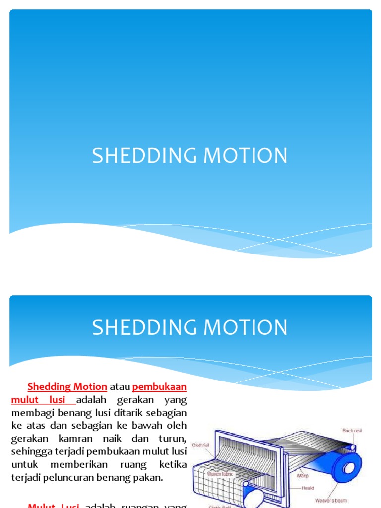 Shedding Motion | PDF
