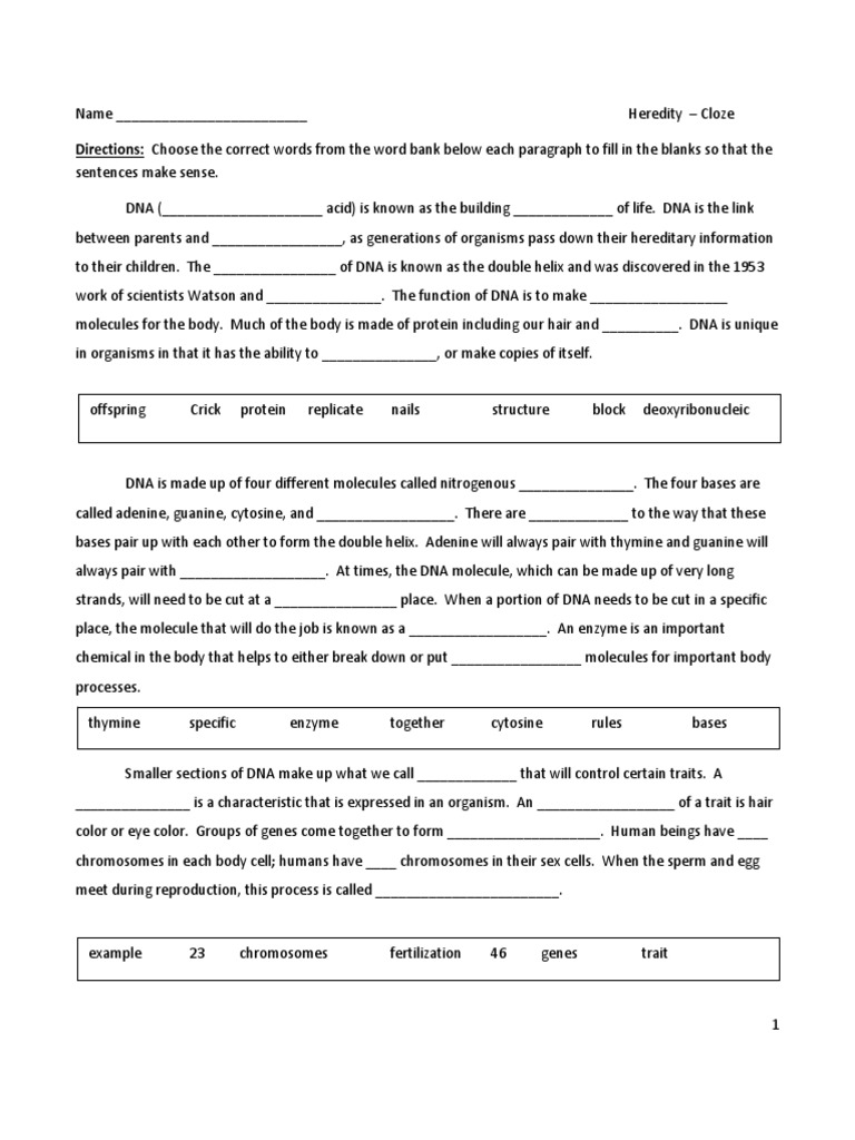 Genetics Reading and Comprehension Intermediate | PDF | Dna | Reproduction