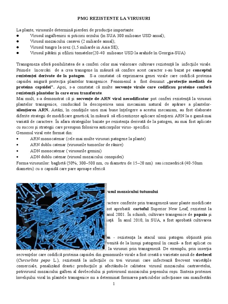 PMG Rezistente La Virusuri | PDF