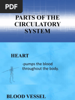 Three Types of Circulation Explained | PDF