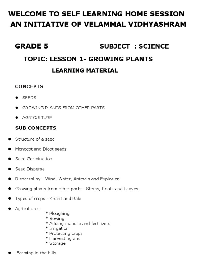 Growing Plants: Grade 5 Science Guide | PDF | Seed | Germination