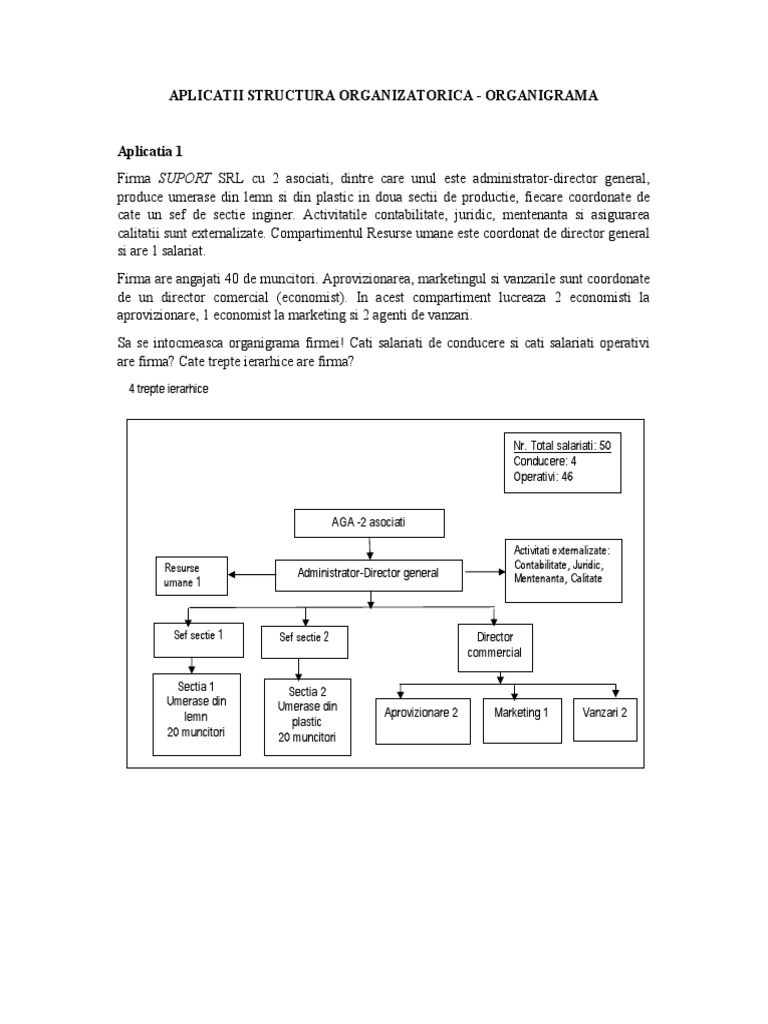 Aplicatii Structura Organizatorica Si Organigrama | PDF Aplicatii Structura Organizatorica Si Organigrama | PDF