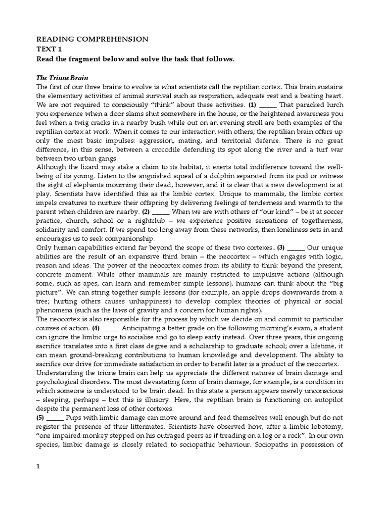 PSI Reading Test | PDF | Human | Brain