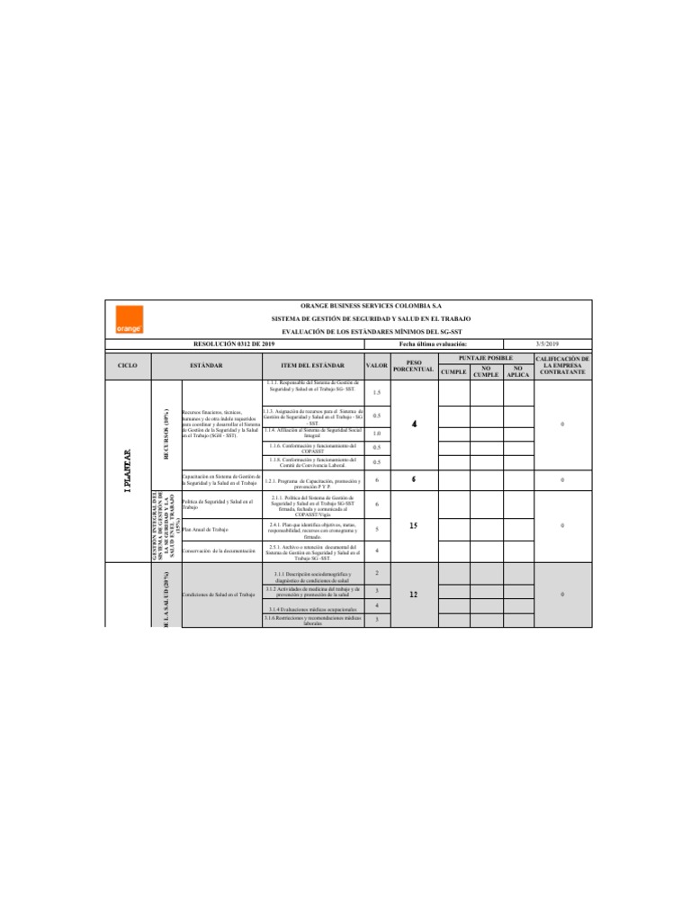 Formato Evaluacion Del SG-SST Resolucion 0312 de 2019 | PDF | Auditoría | Medicina