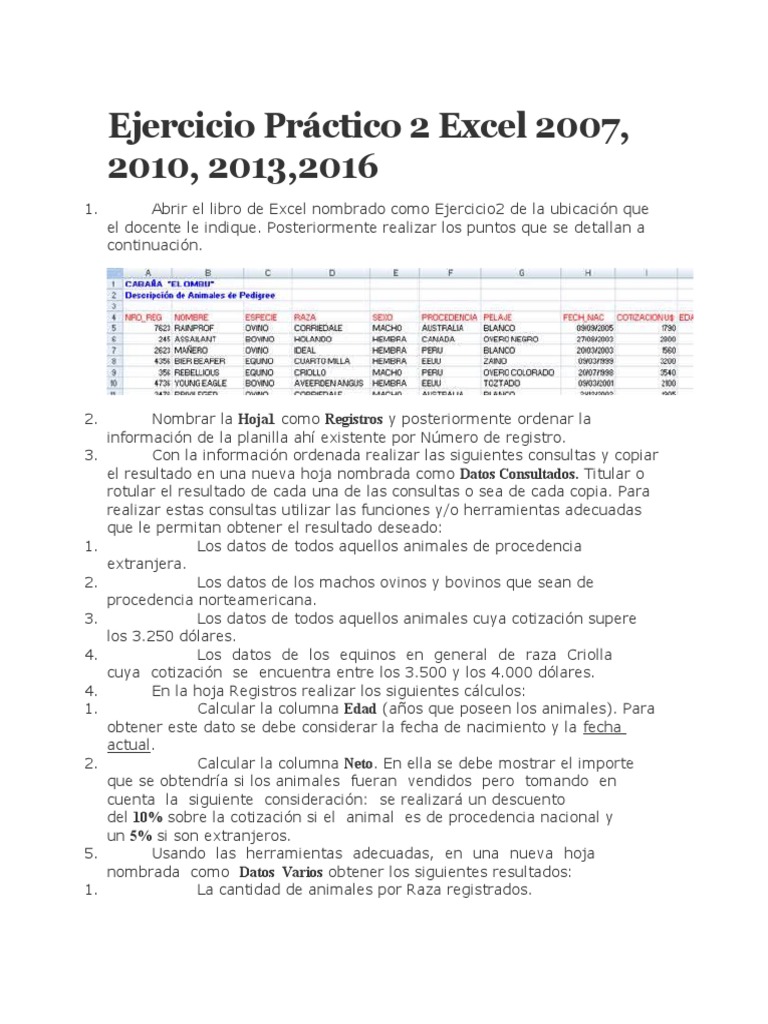 Ejercicio Práctico Excel: Registro de datos de cabaña, consultas, cálculos y gráficos | PDF ...
