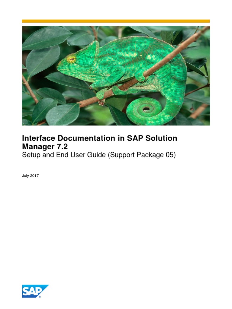 Interface Documentation in SAP Solution Manager 7.2: Setup and End User ...