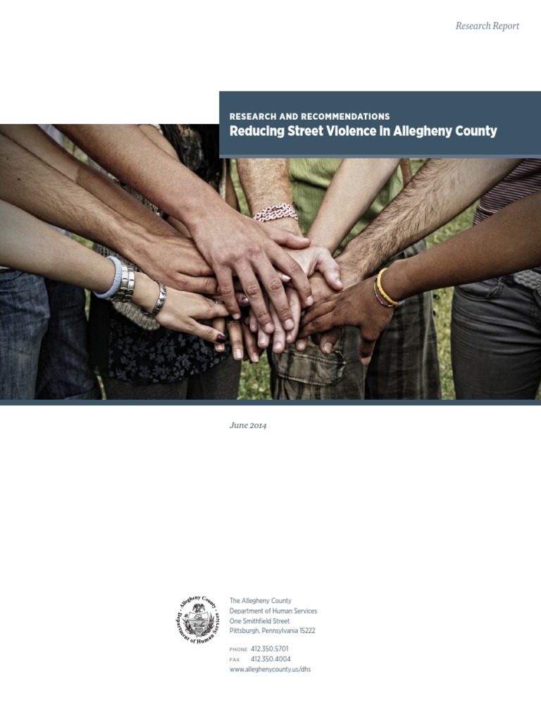 Reducing Street Violence in Allegheny County: Research and ...