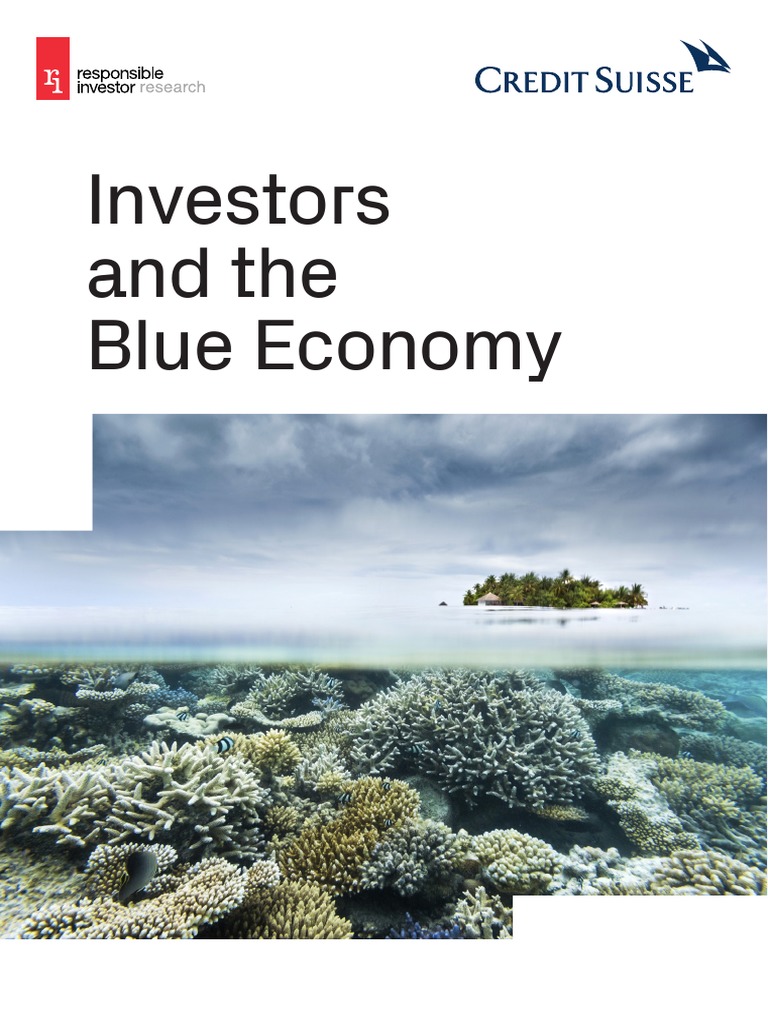 Investors and The Blue Economy | PDF | Sustainability | Investing