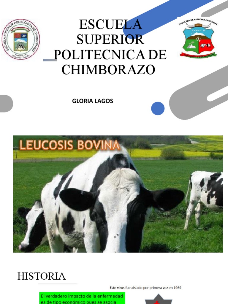 Leucosis Bovina: Etiología y Diagnóstico | PDF
