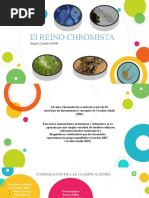 Características y ejemplos del reino Chromista | PDF | Algas | Biología