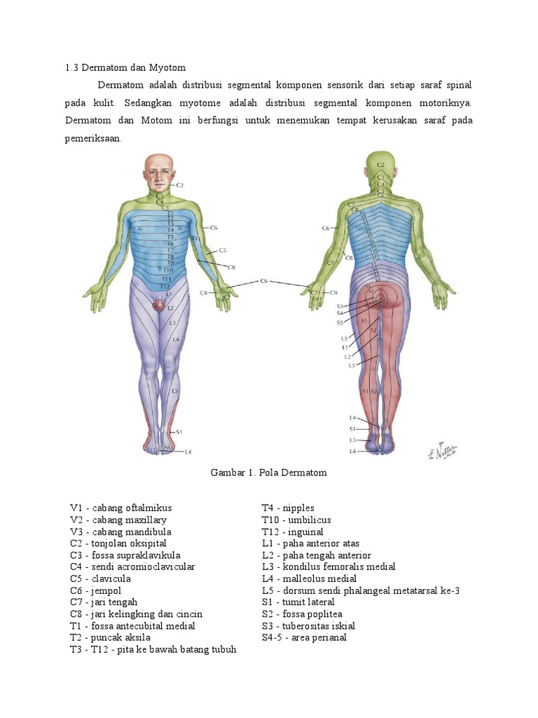LO Sken 3 | PDF | Kajian Bahasa Asing | Sains & Matematika