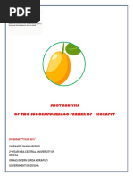 ODC Associate Developer Certification - Sample Exam - EN | PDF ...