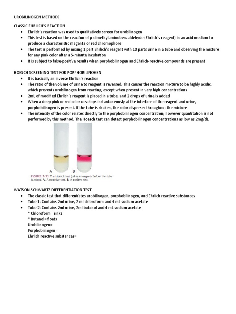 Urobilinogen and Porphobilinogen Tests | PDF | Porphyrin | Biochemistry