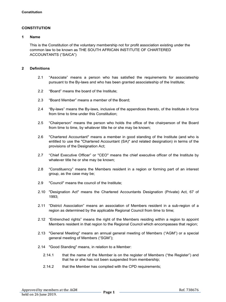SAICA Constitution 2019 | PDF | Board Of Directors | Committee