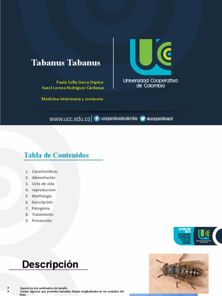 Tabano | PDF | Insectos | Organismos