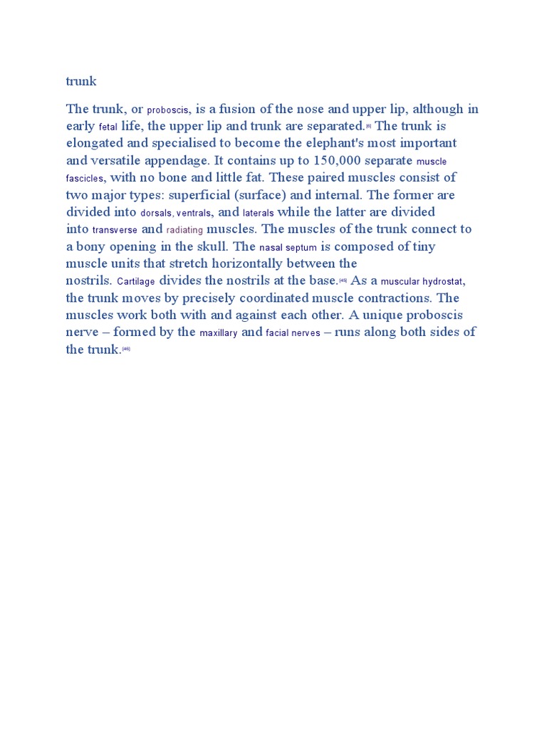 Proboscis Fetal: Radiating | PDF