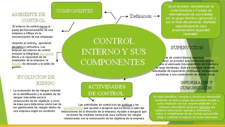 Mapa Conceptual de Control Interno | PDF | Información | Evaluación