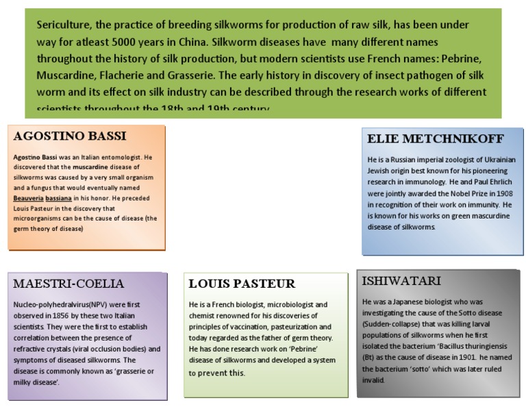 Agostino Bassi Elie Metchnikoff: Maestri-Coelia Ishiwatari | PDF ...