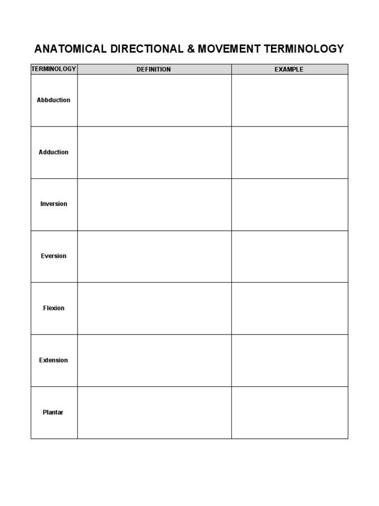 Anatomical Directional Movement Terminology - Sheet1 | PDF