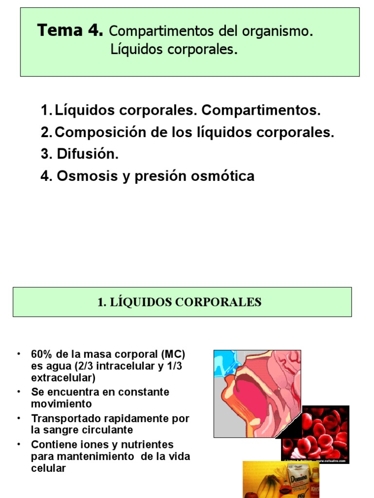 Liquidos Corporales | PDF | Ósmosis | Concentración