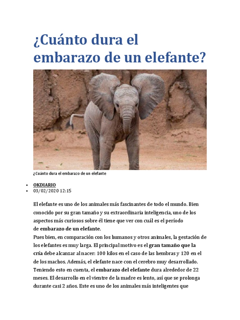 Cuánto Dura El Embarazo de Un Elefante | PDF