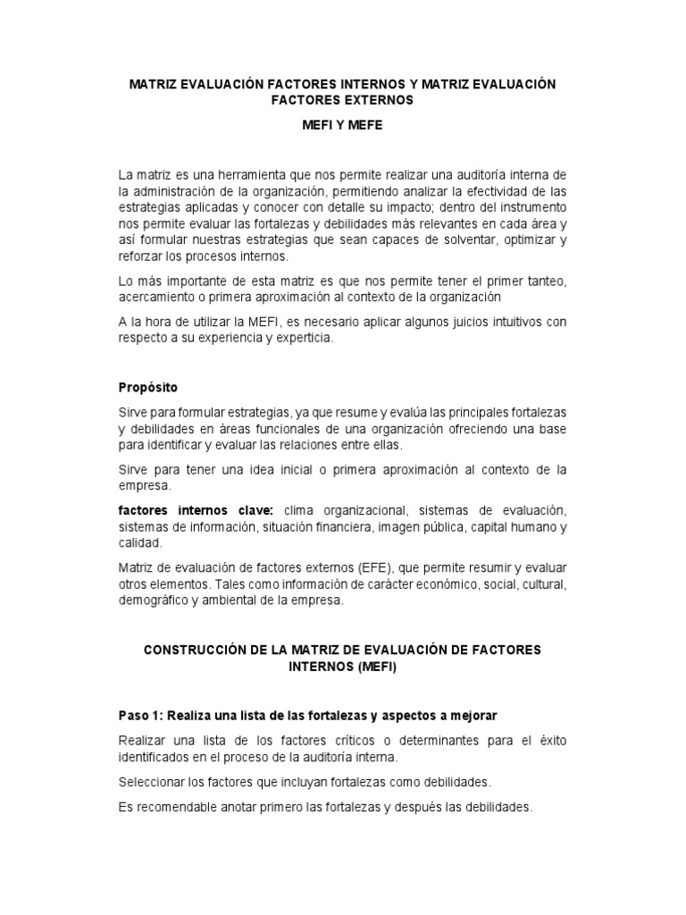 Matriz Mefi y Mefe | PDF | Evaluación | Auditoría