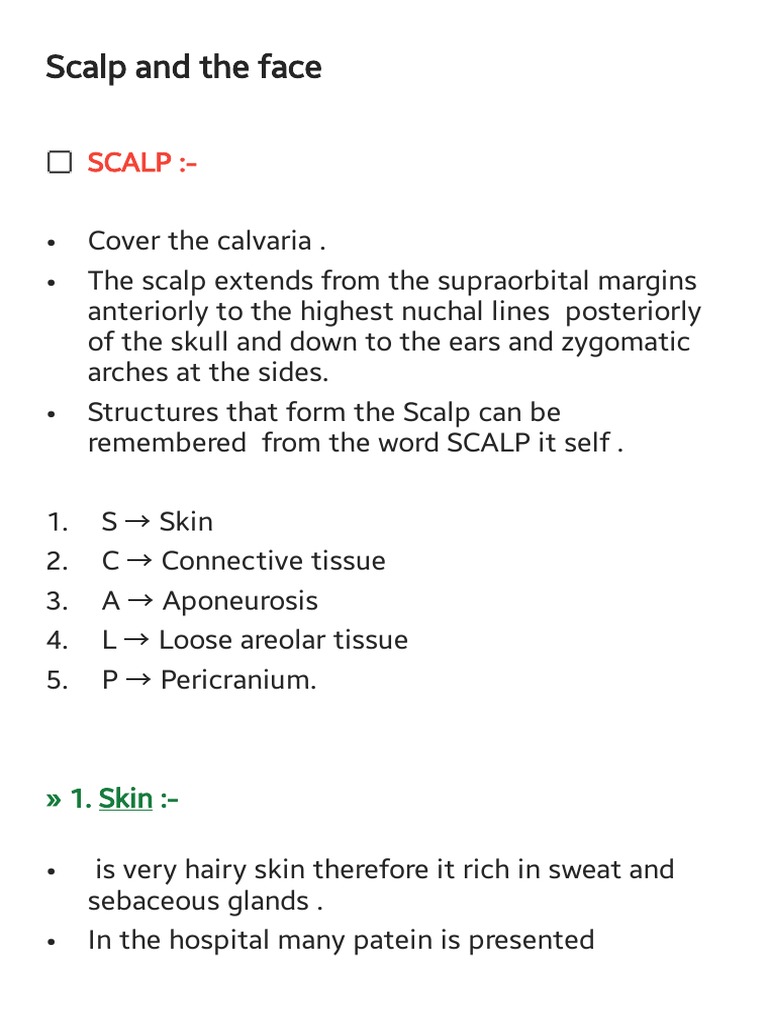Scalp | PDF | Human Nose | Primate Anatomy
