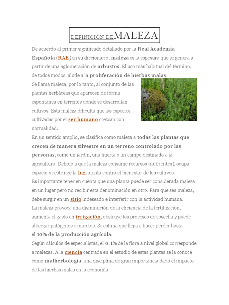 Definición de Maleza | PDF | Hierba | Plantas