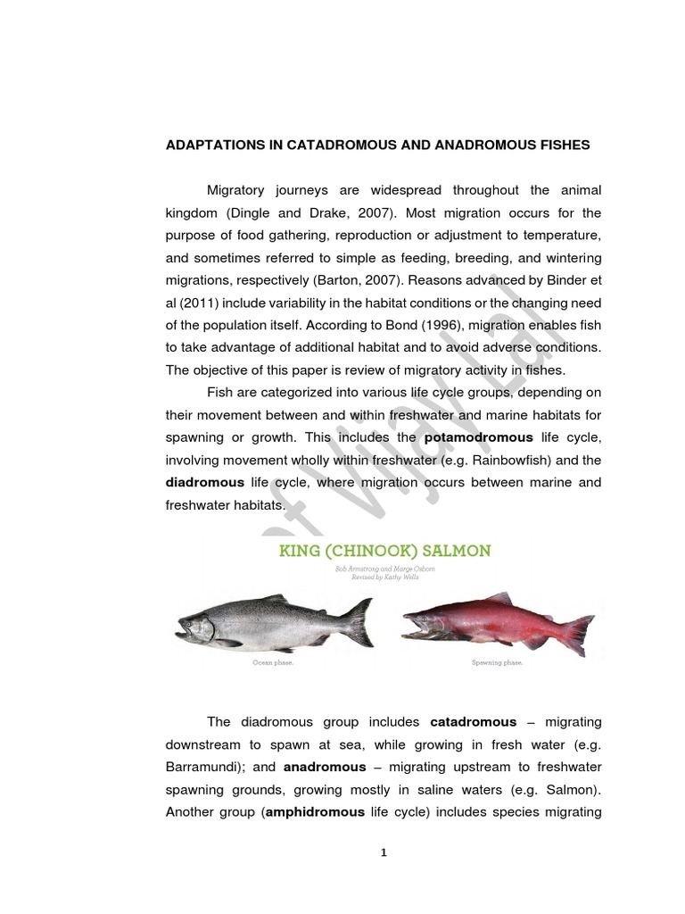 Catadromoua and Anadromous Fishes | PDF | Fish | Fish And Humans
