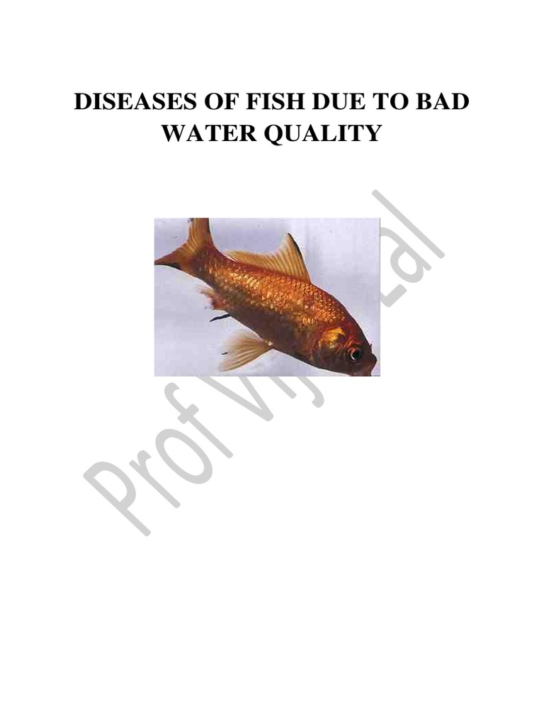 Fish Disease by KARAM | PDF | Ammonia | Water