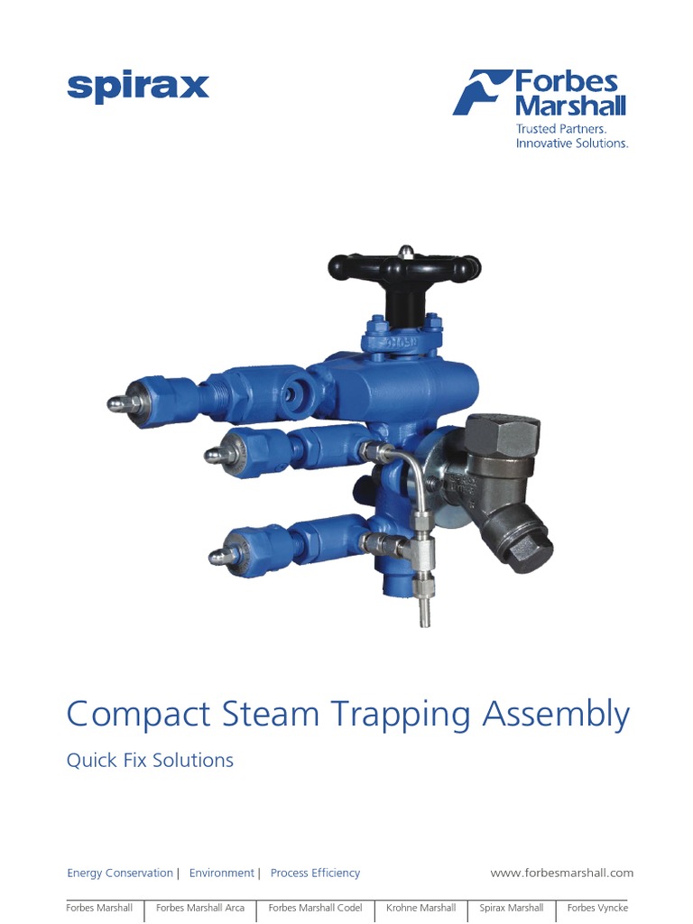 Compact Steam Trap Assembly | PDF | Valve | Steam