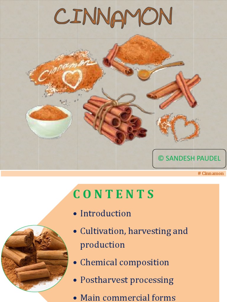 Cinnamon | PDF | Cinnamon | Foods