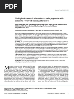 BFM 95 Protocol | PDF | Leukemia | Diseases And Disorders